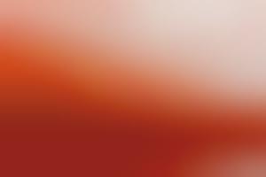 Showy Red Reading Rooms: The New University Library at the University ...