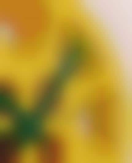 100 Quirky Wall Clocks