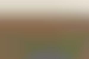 Investment Homes for 55+: Ownership at the Watermere Upscale Retirement ...