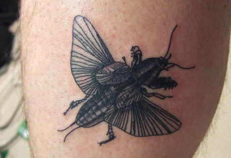 Endangered Species Inks: Extinked Tattoo Exhibition Spotlights ...