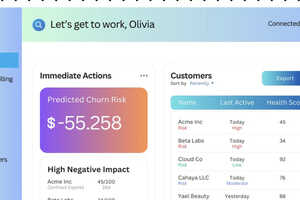 Customer Retention Tools : Lively AI