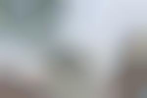 Slimly Styled Architecture: Donald Chong Creates the Perfect Match for ...