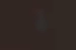 $10,000 Trikes: Sacha White Creates a Tricycle to End All Tricycles