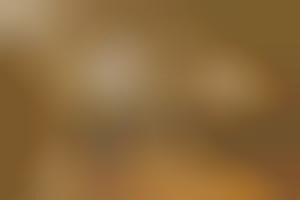 Wooden Wave Diners: The BanQ Restaurant in Boston is a Creatively ...