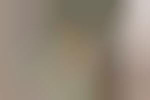 Quirky Shower Shoots: Dan Monick Photography Captures Fun Parties I ...