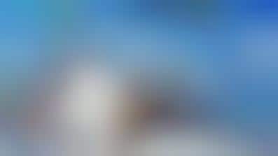 Inappropriate Christmas Toons: The CBS Frosty the Snowman Video ...