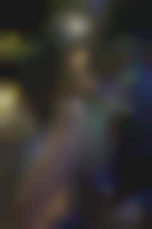 25 Innovative Window Displays