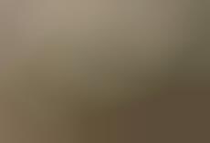 Dutch Vegetable Baubles: Maaike Roozenburg Designs Root-Inspired Ornaments