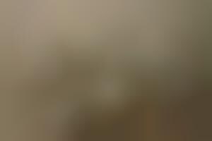 Dutch Vegetable Baubles: Maaike Roozenburg Designs Root-Inspired Ornaments