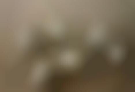 Dutch Vegetable Baubles: Maaike Roozenburg Designs Root-Inspired Ornaments