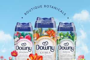 Floral Laundry Boosters : Downy Boutique Botanicals