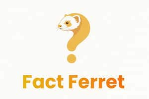 AI Learning Companions: Fact Ferret Provides AI Explanations Tailored ...