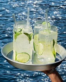 Cocktail-Inspired Hydration Cubes: waterdrop's Mojito Hydration Cubes ...