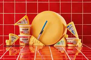 Accessible Specialty Cheeses: Cheese Brand Cello Unveiled a New, Warm ...