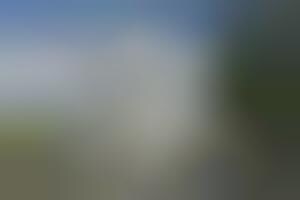 Shredded Structures: The Otto Bock Building is Based on the Principles ...