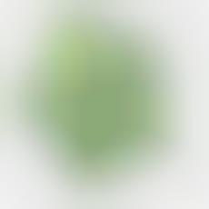 Phones for Mermaids: The Star Fish Phone for Conversations Under the Sea