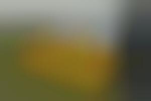 Snow Shoveling Robots: The i-Shovel Robot is Ready to Rid Your Walkway ...