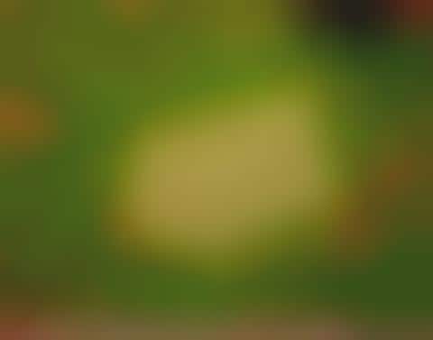 10 Hilarious Holiday Pranks