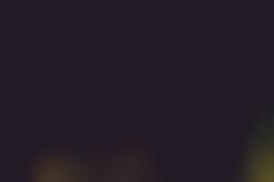 Transformable Shimmering Shades: The Swarovski Sparkle Shade Changes on ...