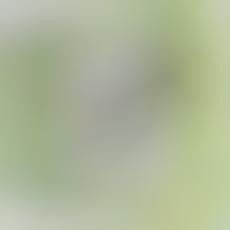 Dramatic Floating Shelves: The Hanging Bookcase Gives the Illusion of ...