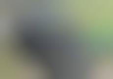 Freckled Vehicles: The Multifunctional Prodan Dragos EVC is Various ...