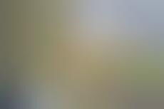 Personal Online Museums: 'A Collection a Day 2010' Showcases Lisa ...