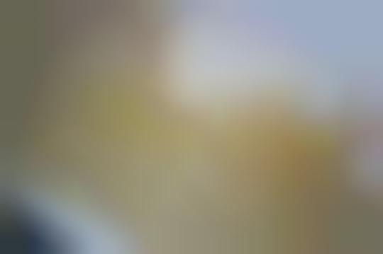 Personal Online Museums: 'A Collection a Day 2010' Showcases Lisa ...