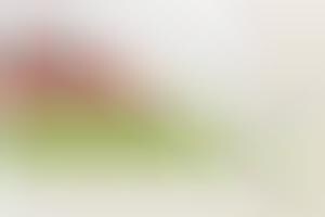 Endangered Popsicles: Eric Cai Shi Wei Raises Awareness for the WWF China