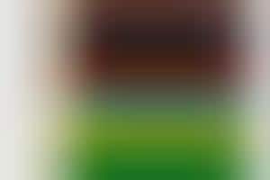 Color Blind Identifiers: The Color Add Identification System Helps ...