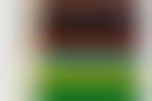 Color Blind Identifiers: The Color Add Identification System Helps ...