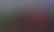 Reflective Photorealism: Glenray Tutor's Colorful Collection of ...