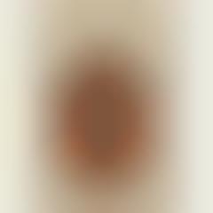 20 Creepy-Crawly Insect Captures