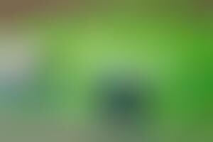 Flushable Dog Toilets: Powerloo Offers Environmentally Safe Dog Poo ...