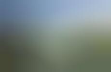 Tropical Ecostructures: ‘Heart of Africa' Biodome Set for Opening at ...