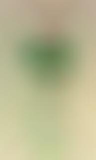 Eco-Friendly To-Go Cups: The Shamrock Green Cup is About to Turn the ...