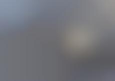 Wheelbarrow Chairs: Transsakrales by Florian Borkenhagen at the Gabrielle Ammann Gallery