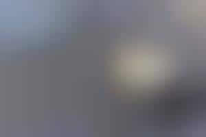 Wheelbarrow Chairs: Transsakrales by Florian Borkenhagen at the Gabrielle Ammann Gallery