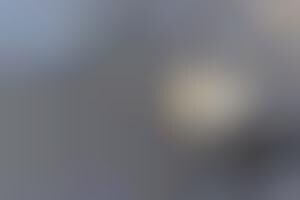 Wheelbarrow Chairs: Transsakrales by Florian Borkenhagen at the Gabrielle Ammann Gallery