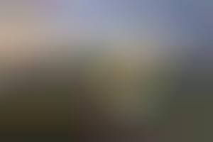 Bio Domechitecture: South Korea's Ecorium Project is a Massive Nature ...