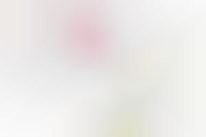 Nature Cable Decor: Wireblooms Transforms Your Unsightly Wires into ...