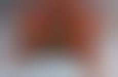 Astrological Art Supplies : Chinese zodiac crayons