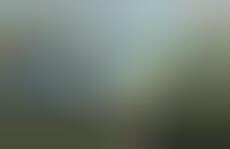 Tropical Ecostructures: ‘Heart of Africa' Biodome Set for Opening at ...