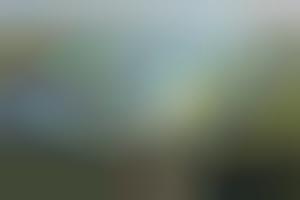 Tropical Ecostructures: ‘Heart of Africa' Biodome Set for Opening at ...