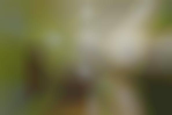 10 Modernized Clinic Designs