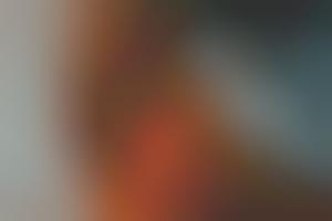 Bottom-Baring Contests: The American Apparel Best Bottom Contest is ...