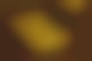 Swiss Cheese Phone Cases: The iPhone CheeseCase by Antjes Contains No ...