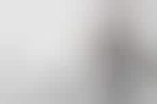 Penguin Sidekick Shoots: 'Penguins!' by Alexandra Zaharova & Ilya Plotnikov Pairs Models With Birds