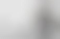 Penguin Sidekick Shoots: 'Penguins!' by Alexandra Zaharova & Ilya Plotnikov Pairs Models With Birds