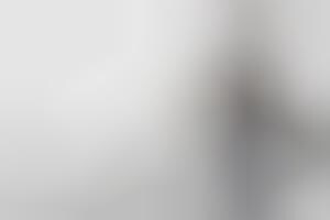 Penguin Sidekick Shoots: 'Penguins!' by Alexandra Zaharova & Ilya Plotnikov Pairs Models With Birds