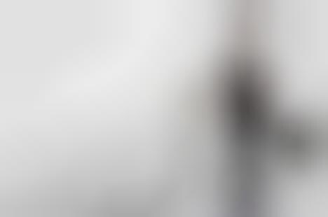 Penguin Sidekick Shoots: 'Penguins!' by Alexandra Zaharova & Ilya Plotnikov Pairs Models With Birds